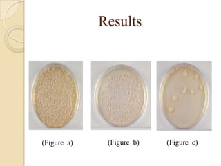 Nehal bacterial enumeration | PPTX