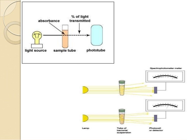Nehal bacterial enumeration Nehal bacterial enumeration