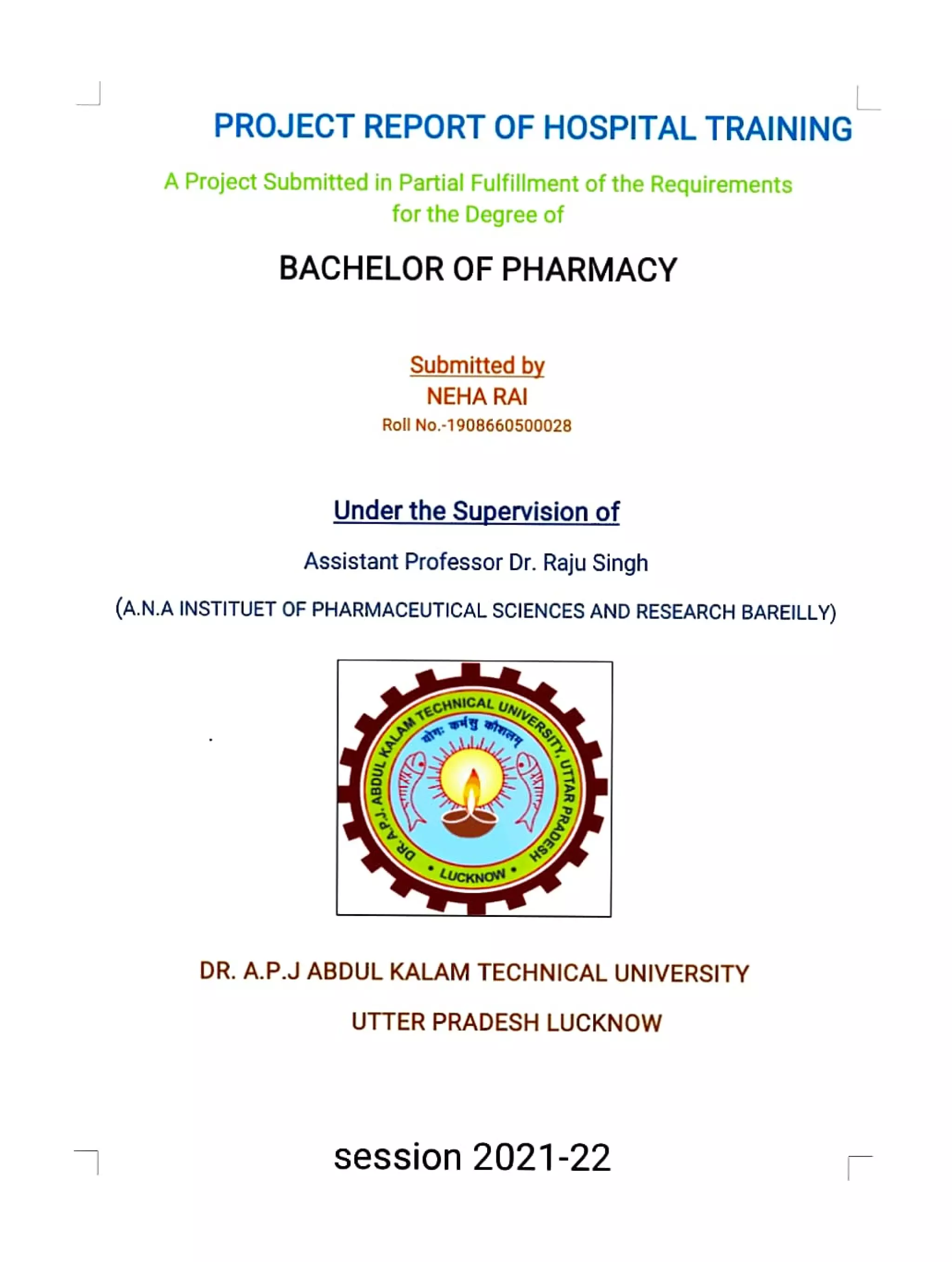 Nihari hospital project report (1).pdf