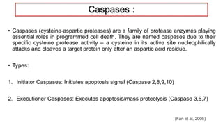 Role of apoptosis in physiology and diseases i | PPTX