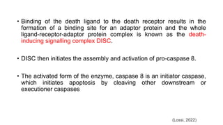 Role of apoptosis in physiology and diseases i | PPTX