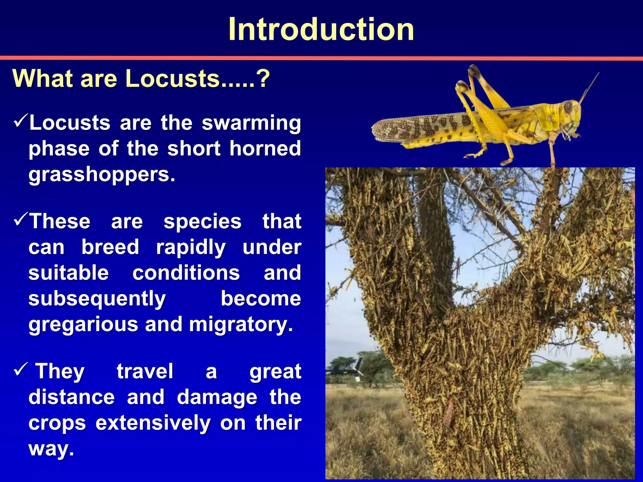 Neha_Tomar.ppt | Biological Sciences | Science