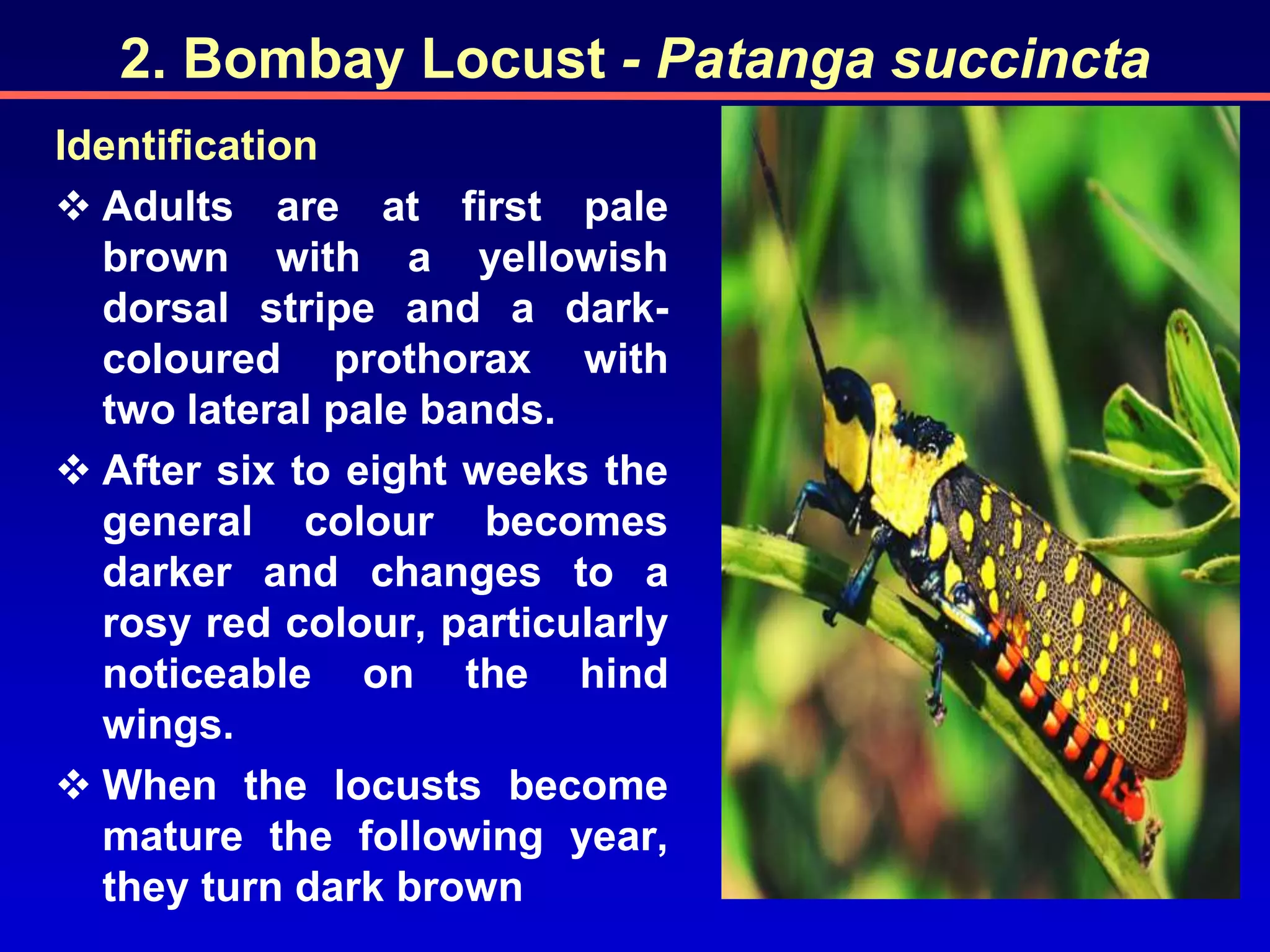 Neha_Tomar.ppt | Biological Sciences | Science