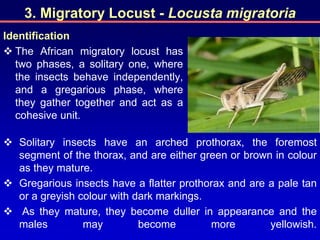 Neha_Tomar.ppt | Biological Sciences | Science