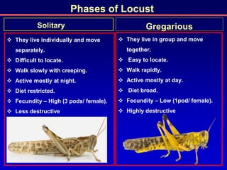 Neha_Tomar.ppt | Biological Sciences | Science