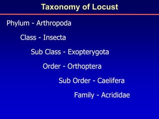 Neha_Tomar.ppt | Biological Sciences | Science