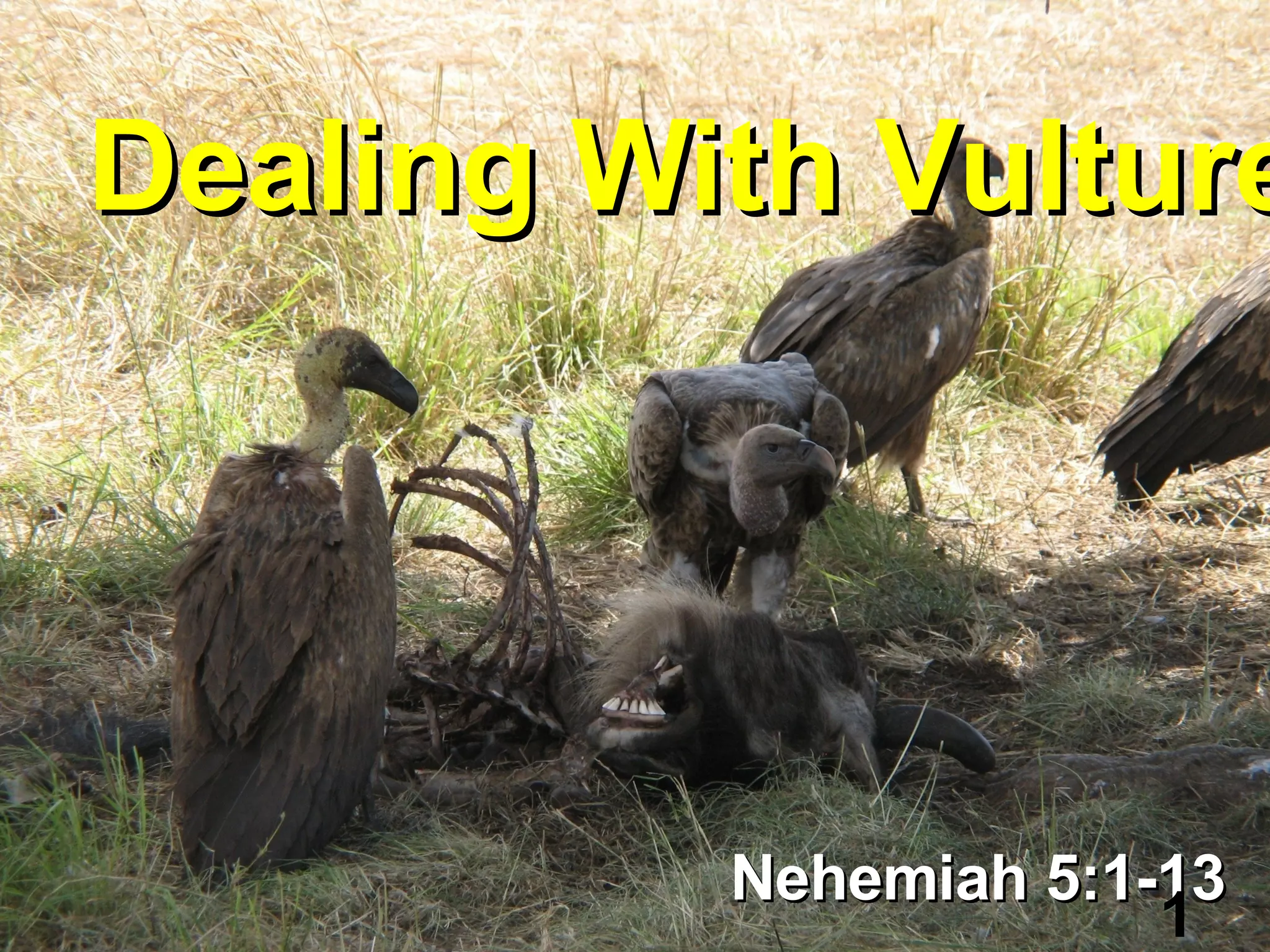 Nehemiah 5 Internal Strife B | PPT