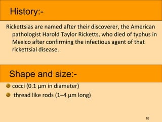 neisseria, rickettsia, chlamydias | PPT