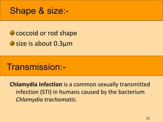 neisseria, rickettsia, chlamydias | PPTX