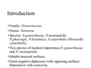 NEISSERIA.lec.ppt