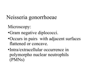 NEISSERIA.lec.ppt