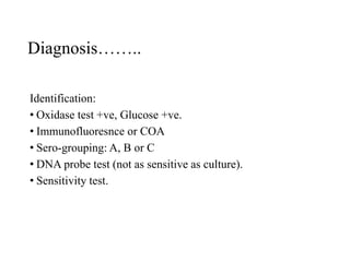 NEISSERIA.lec.ppt
