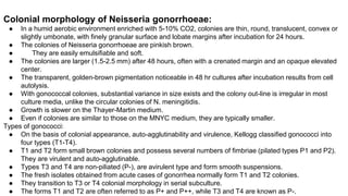 Neisseria.pptx