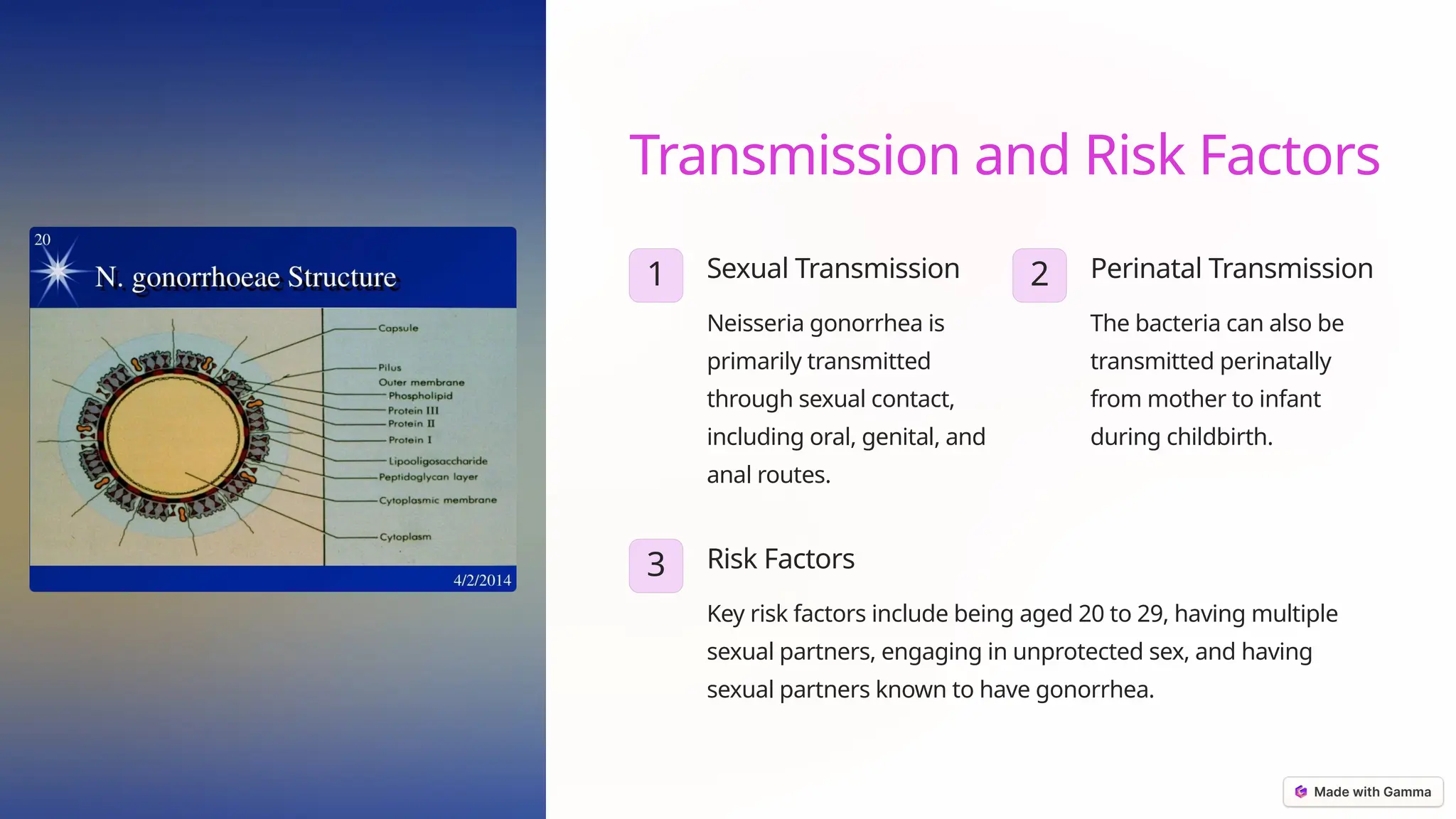 Neisseria-gonorrhea-A-Comprehensive-Overview.pptx