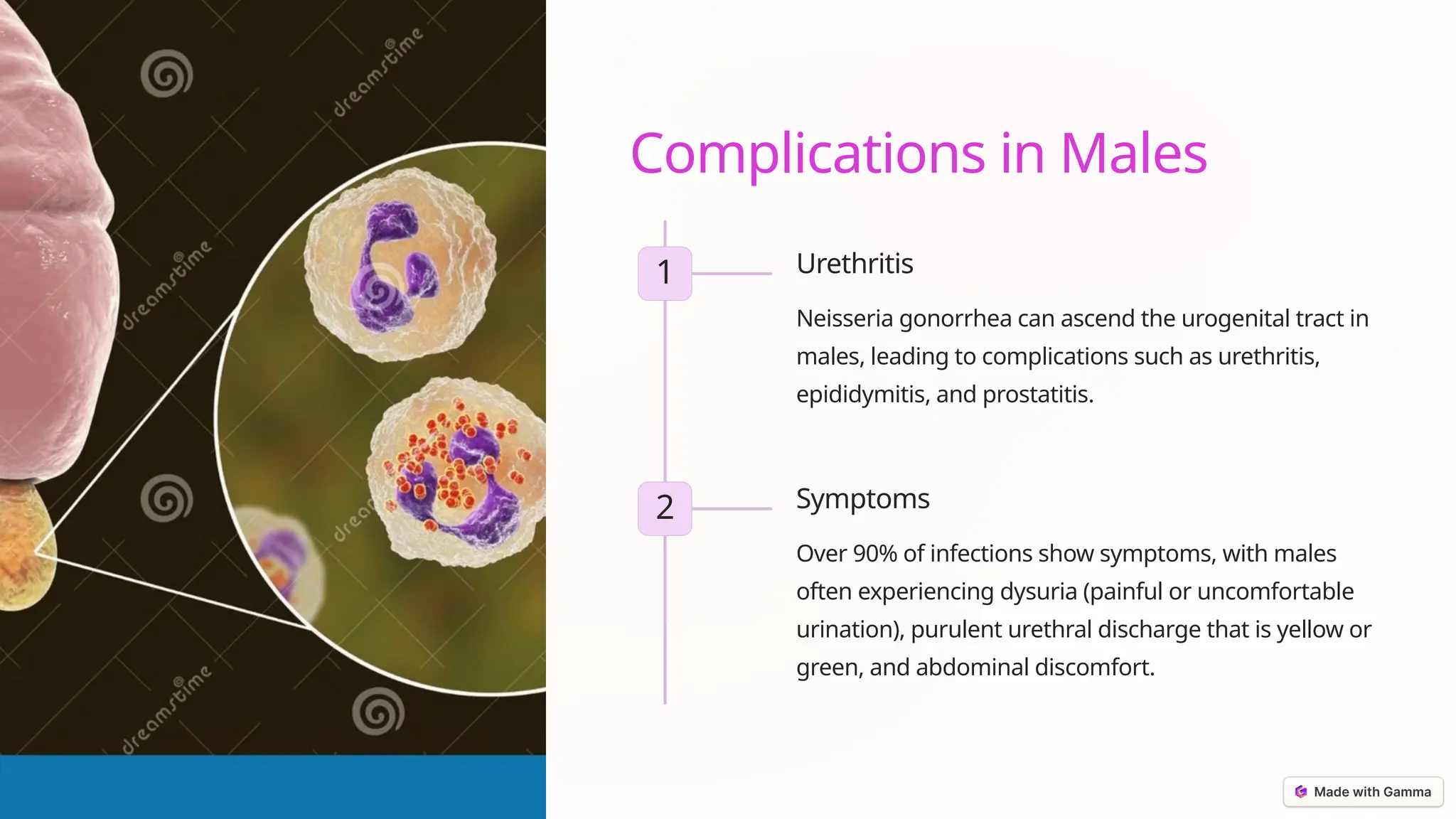 Neisseria-gonorrhea-A-Comprehensive-Overview.pptx