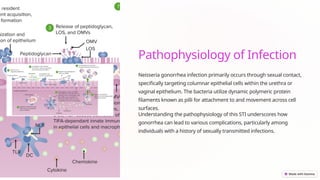 Neisseria-gonorrhea-A-Comprehensive-Overview.pptx