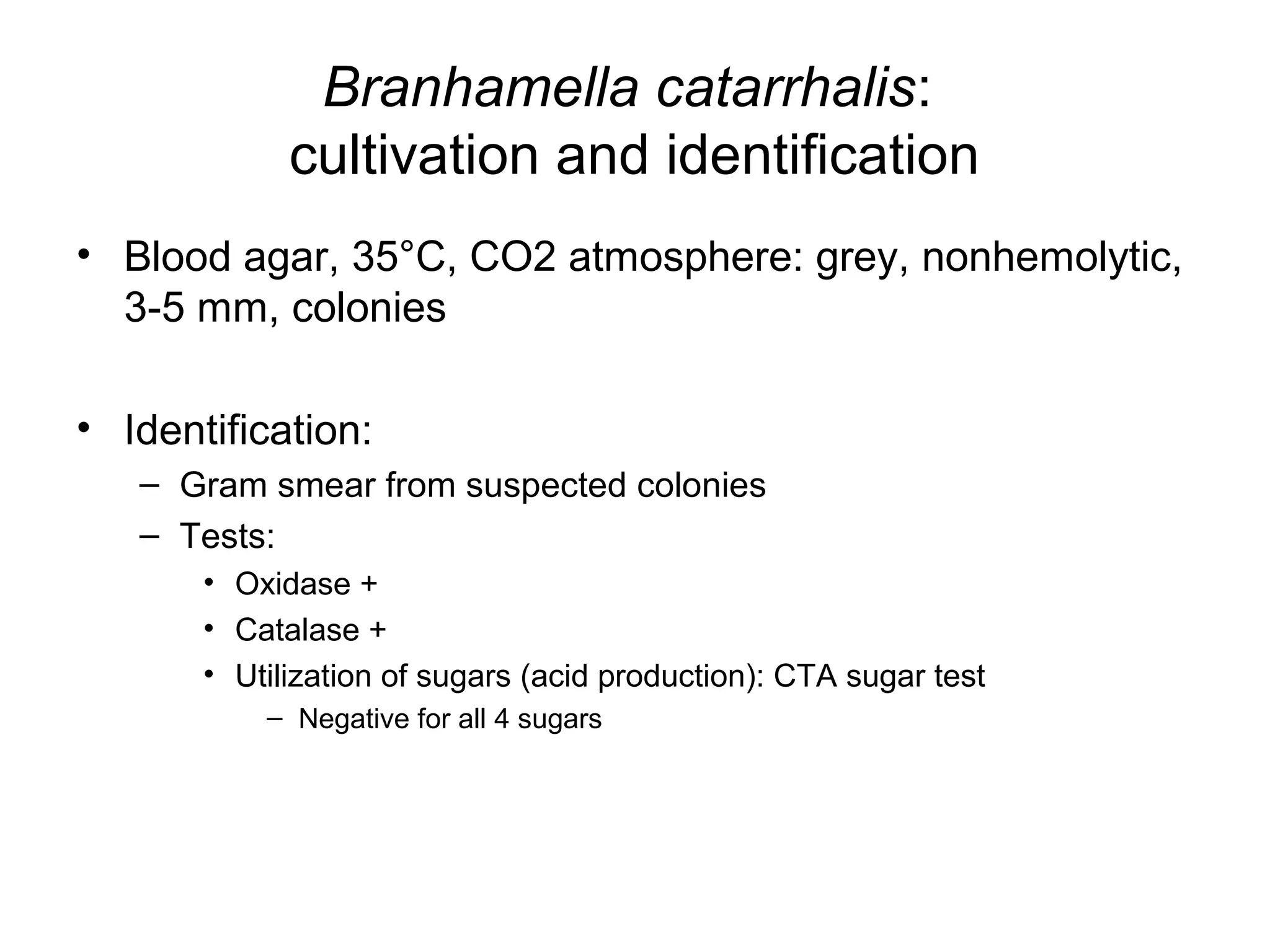 Neisseriaceae | PPT