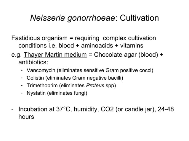 Neisseriaceae | PPT