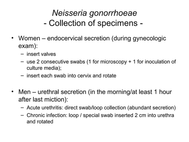 Neisseriaceae | PPT
