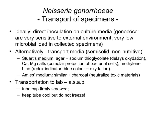 Neisseriaceae | PPT