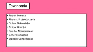 Neisseria gonorrhoeae aspectos generales | PPTX