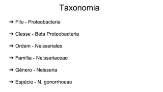 Neisseria gonorrhoeae | PPTX