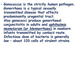 Neisseria gonorrhoeae (gonococcus).pdf