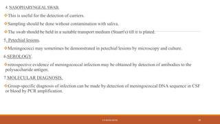 NEISSERIA NEISSERIA GONORRHOEAE K R.pptx