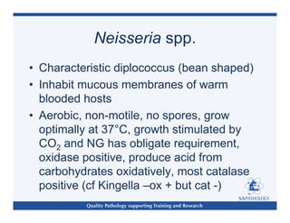 Neisseria meningitidis _clinical_laboratory_diagnosis_-plus (1) | PDF