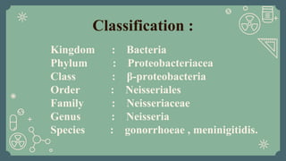 Neisseria meninigitidis-brain infection,meningococcal | PPTX