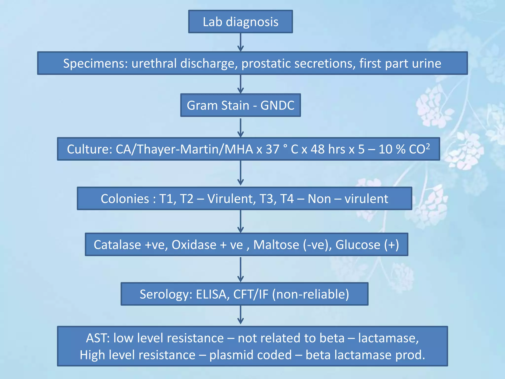 Neisseria & moraxella | PPTX