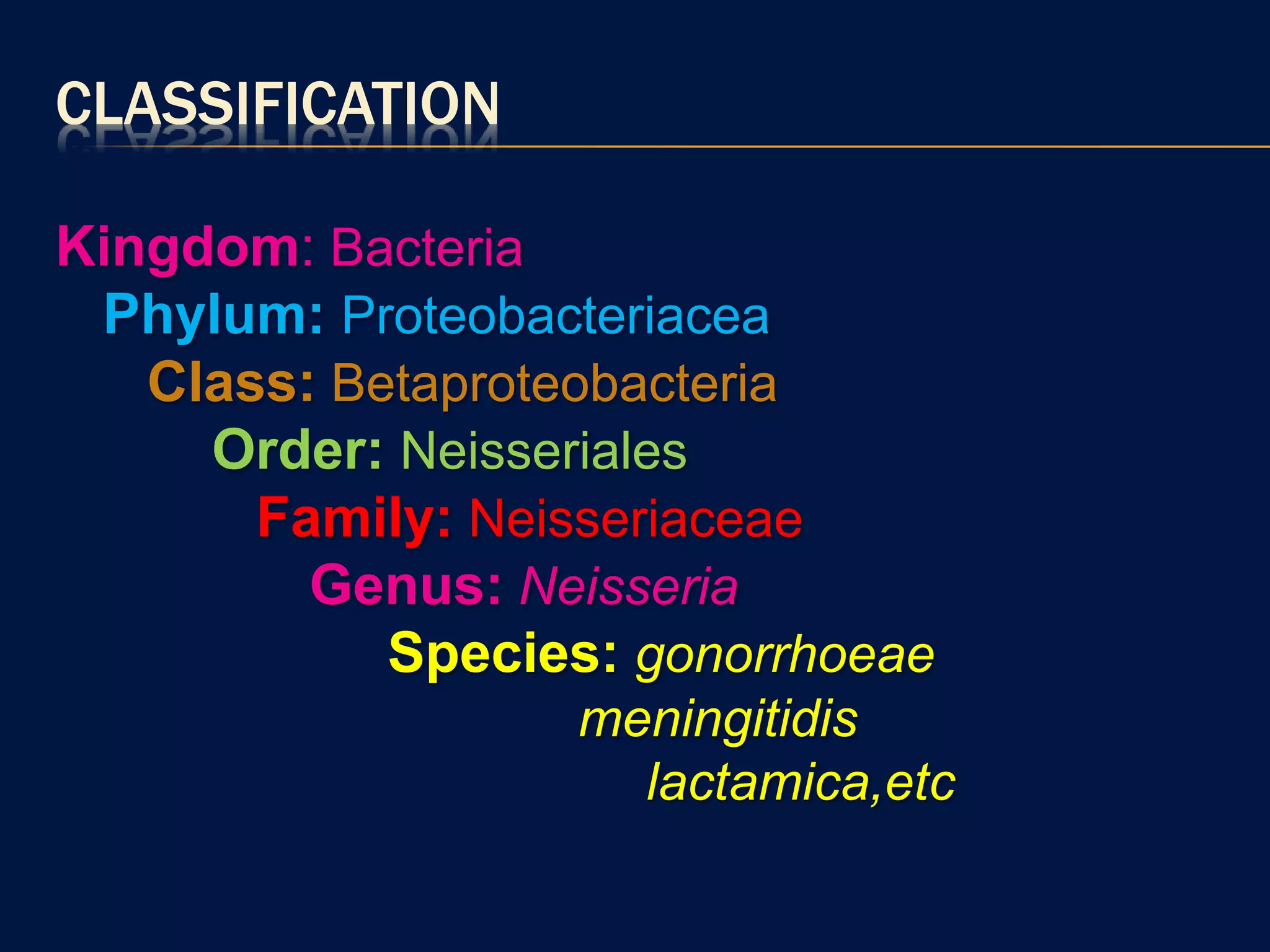Neisseria | PPTX