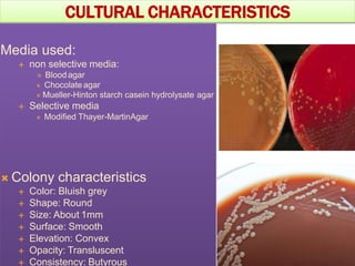 Neisseria by Dr. Rakesh Prasad Sah | PPT