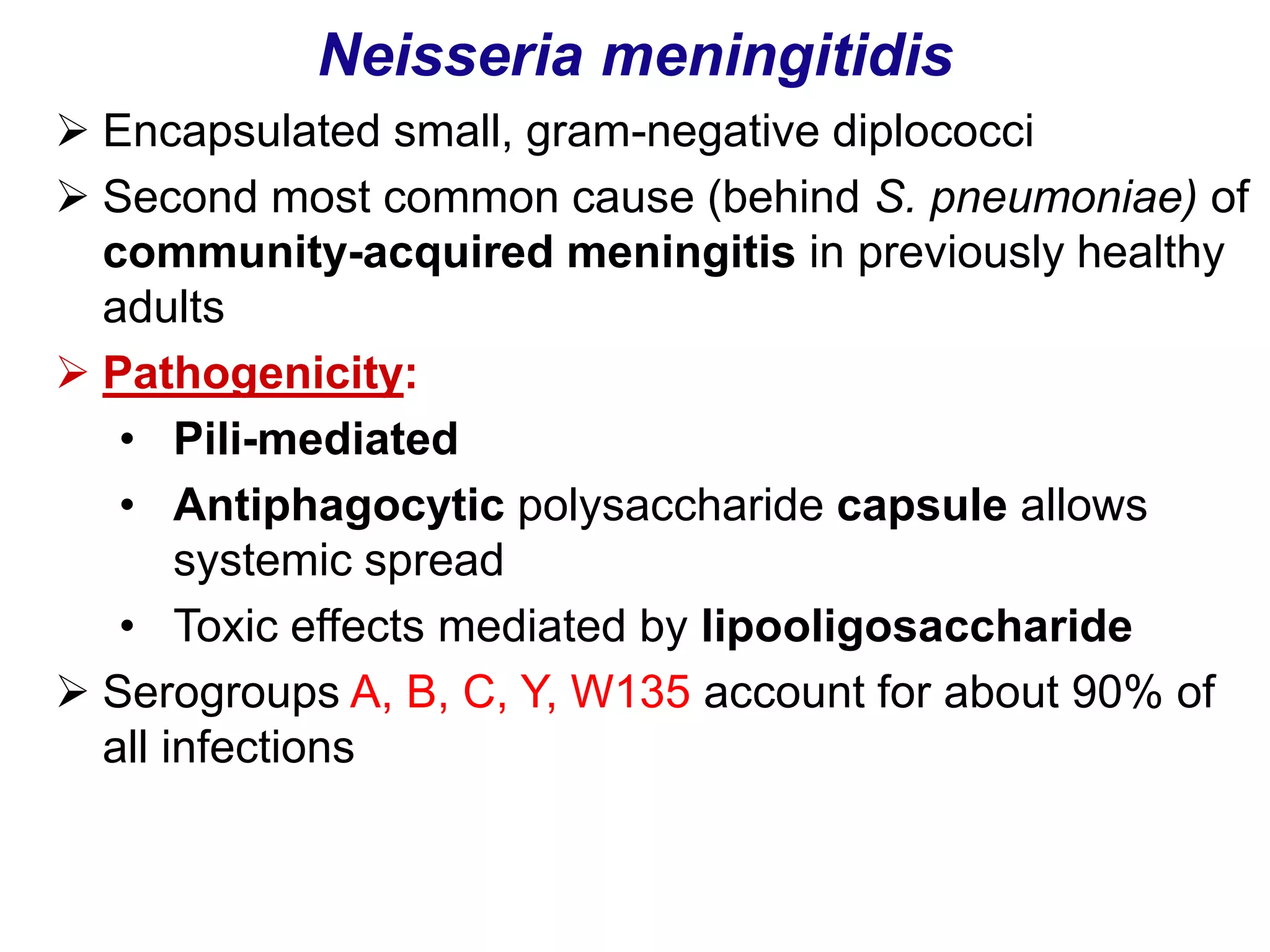 neisseria ppt.ppt