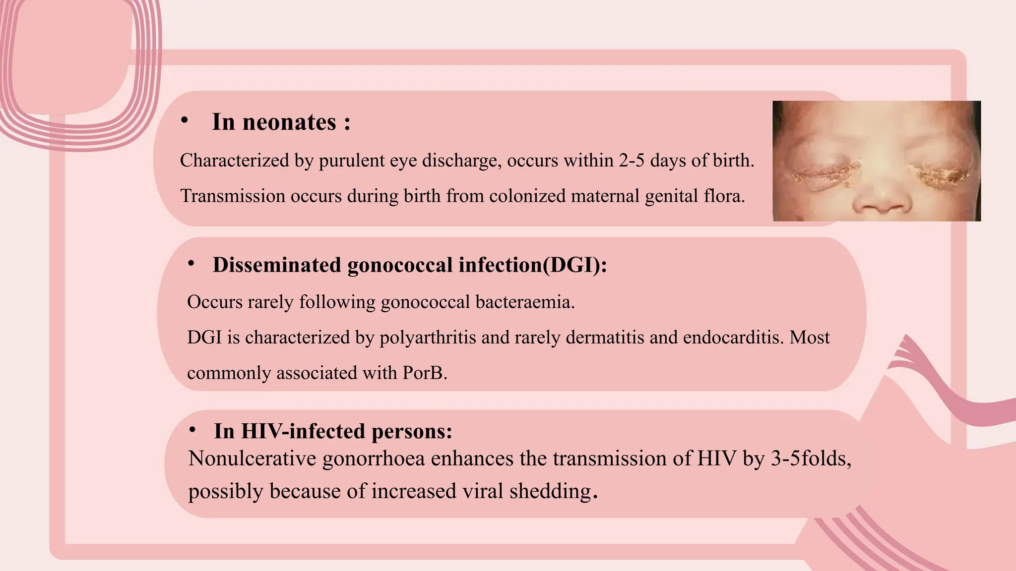 Neisseria Bacteria: Pathogenesis, Classification, and Clinical ...