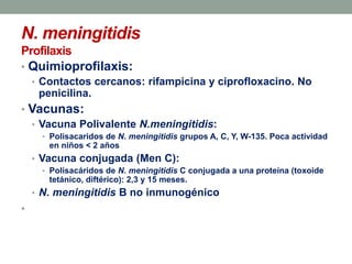 neisseria y moraxella UST.ppt