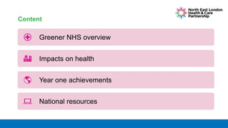 NEL ICS green plan.pptx | Healthcare Industry | Industries