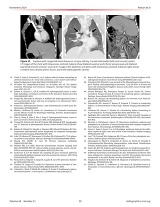 nelson-et-al-2024-spectrum-of-heterotopic-and-ectopic-splenic ...