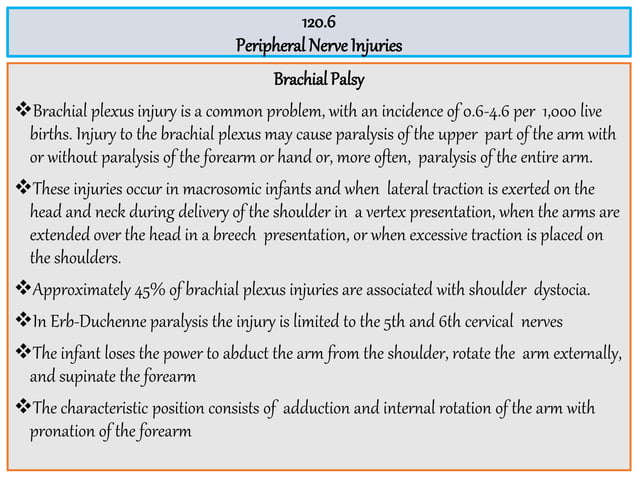 Nelson 21 spinal and peripheral nerve disease in neonate by birhanu ...