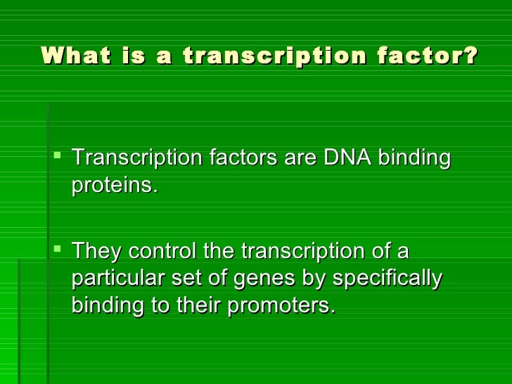 Transcription Factors