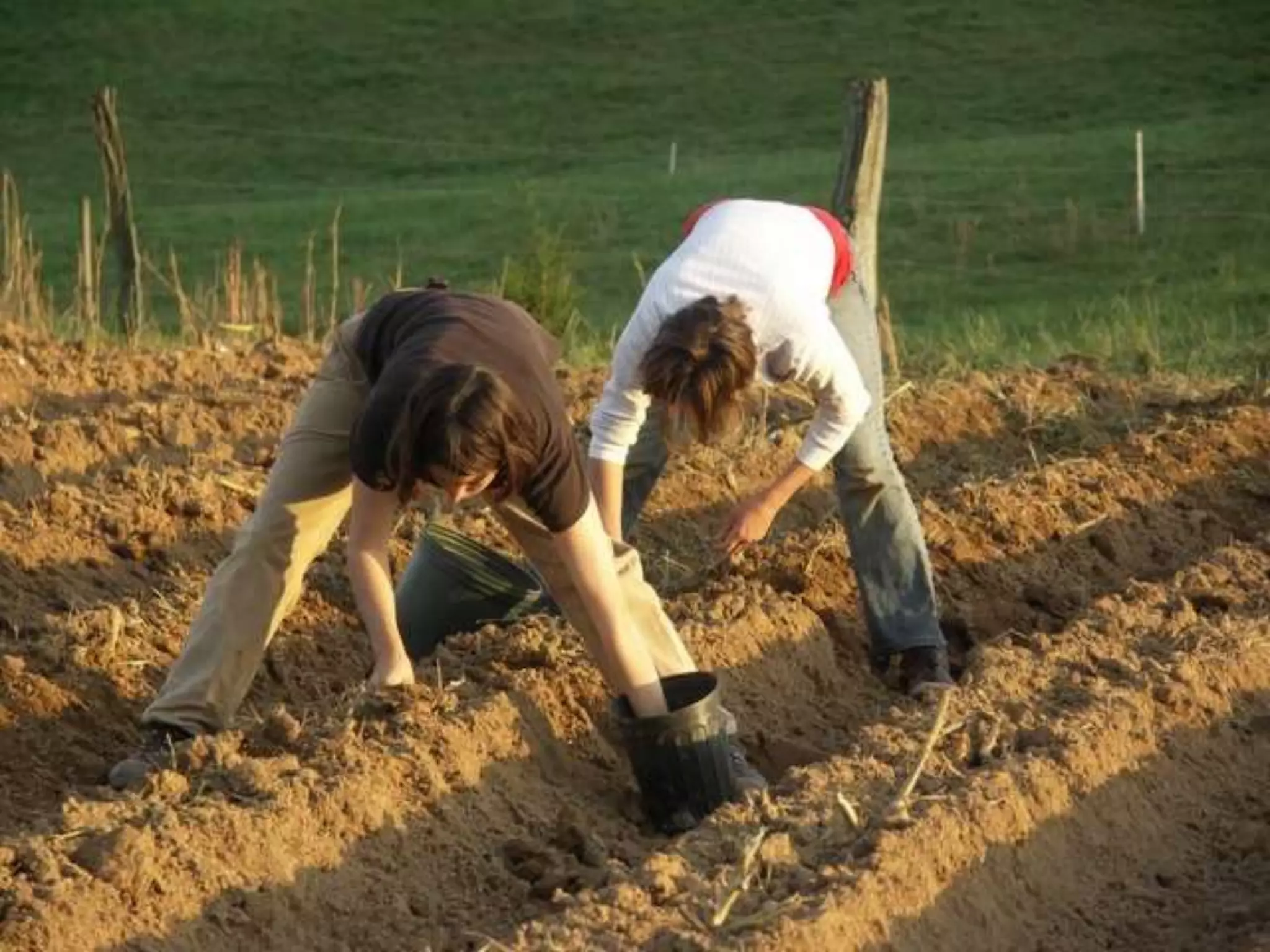 SOWING AND PLANTING EQUIPMENT | PPTX