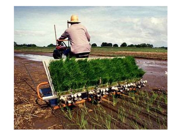 SOWING AND PLANTING EQUIPMENT | PPTX