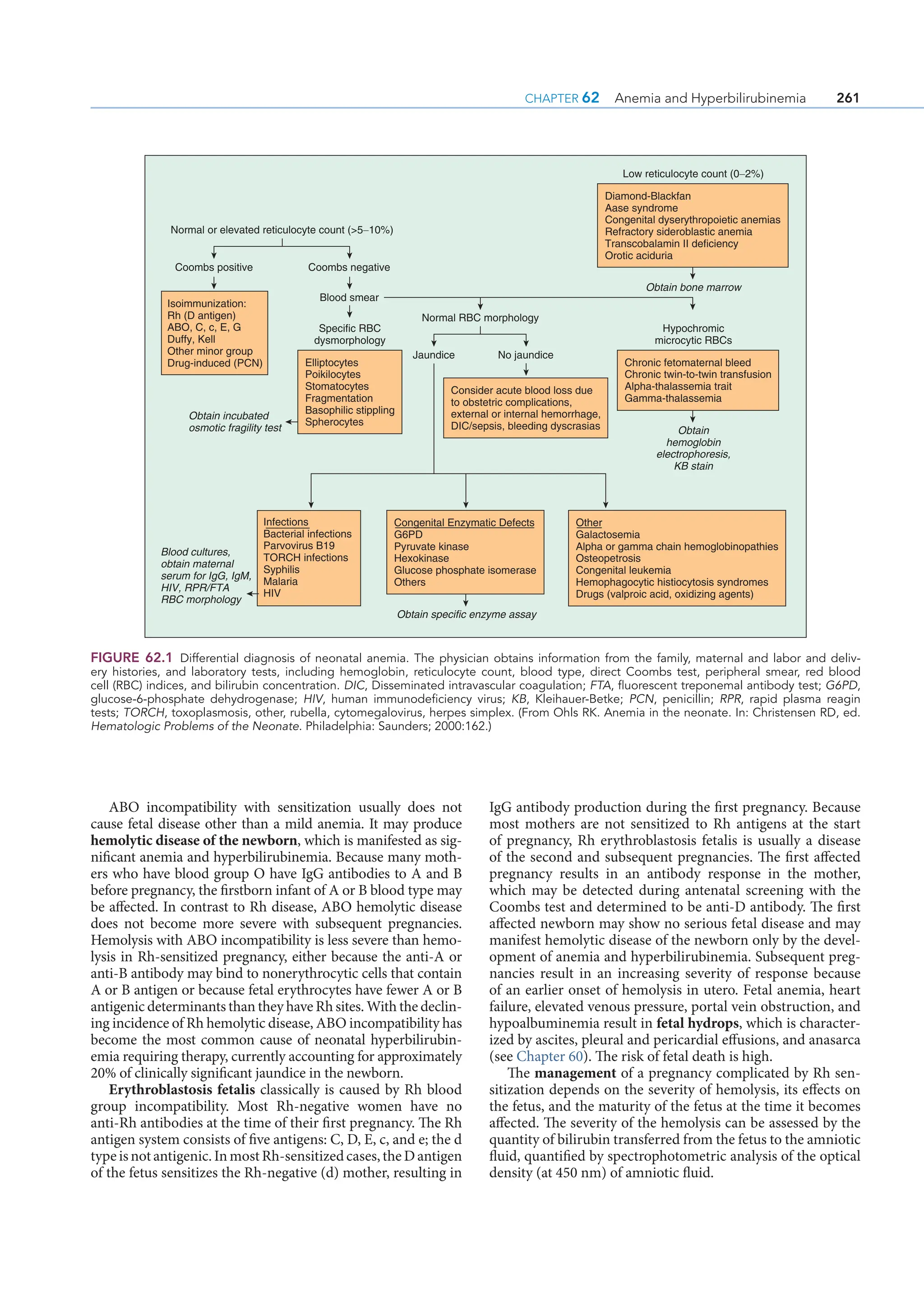 Nelson Essentials of Pediatrics - Anemia and Hyperbilirubinemia.pdf