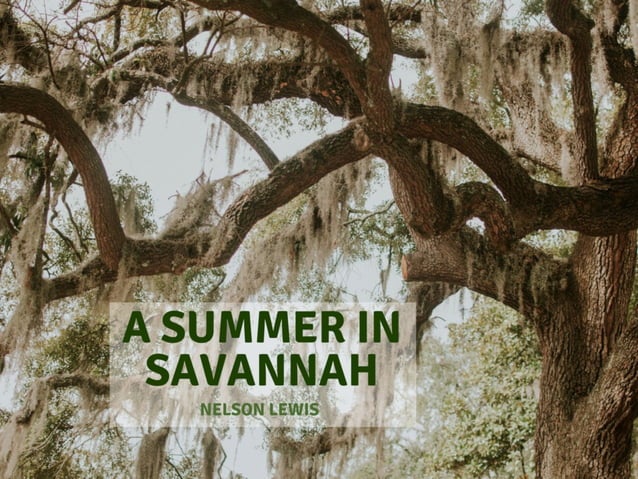 A Summer in Savannah (Inspirations) | PDF