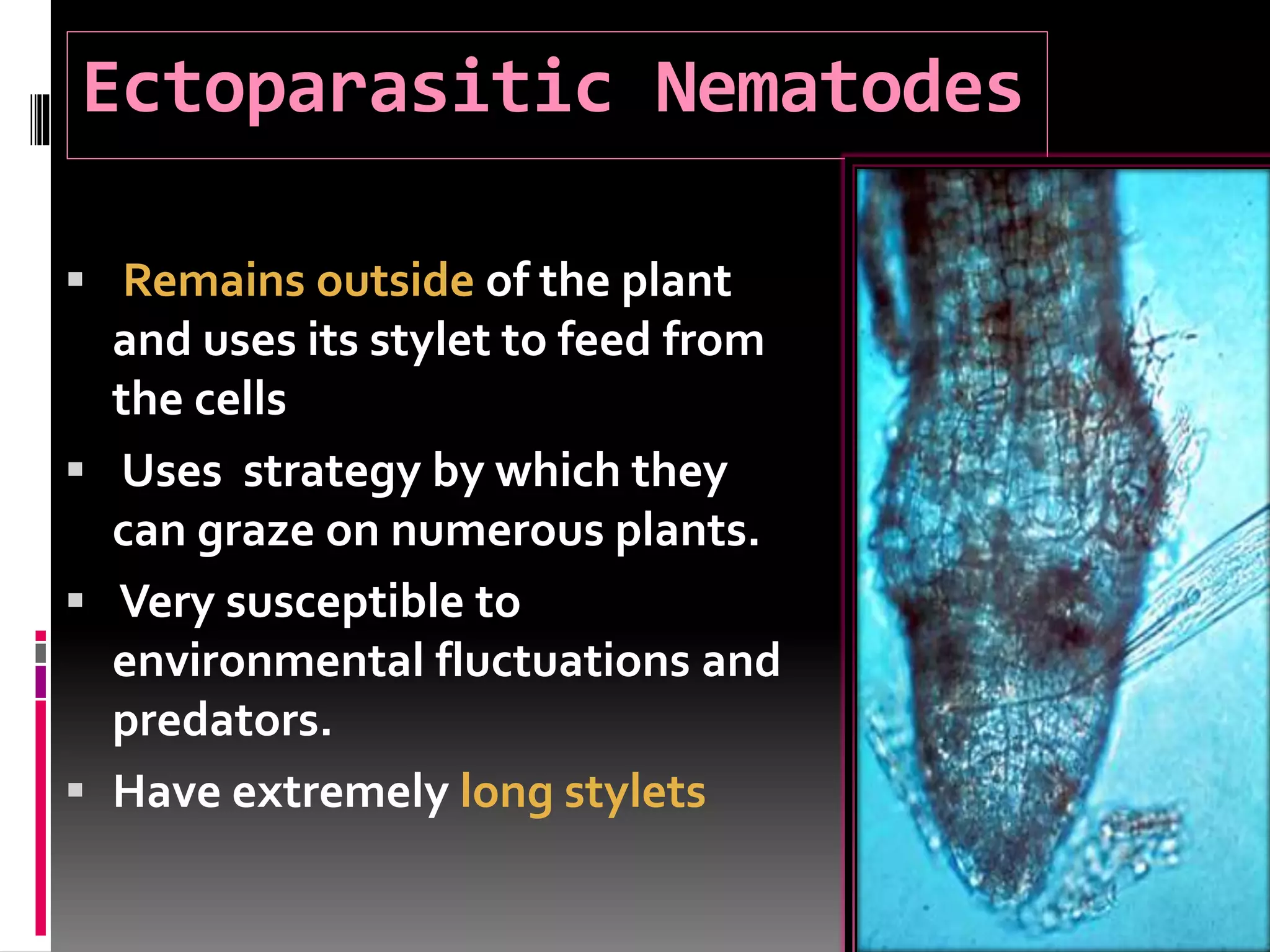 nematology-nematode biology,ecology | PPTX