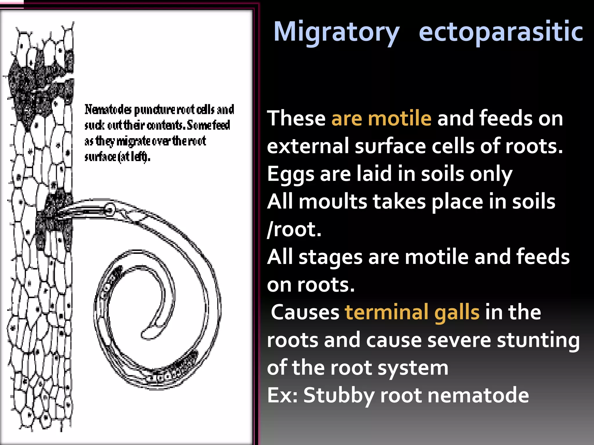 nematology-nematode biology,ecology | PPTX