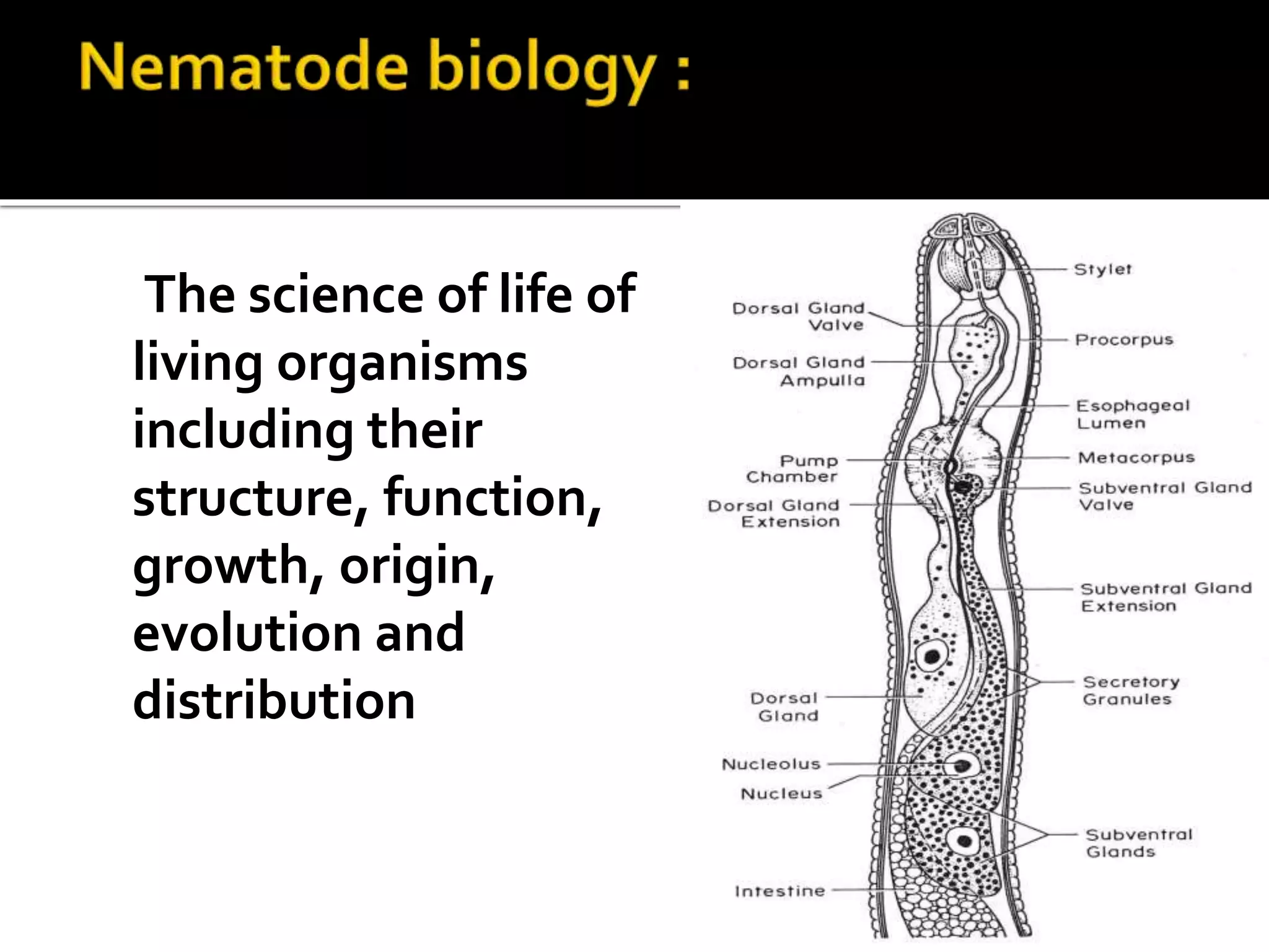 nematology-nematode biology,ecology | PPTX