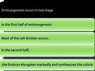 nematology-nematode biology,ecology | PPTX