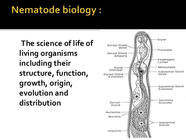nematology-nematode biology,ecology