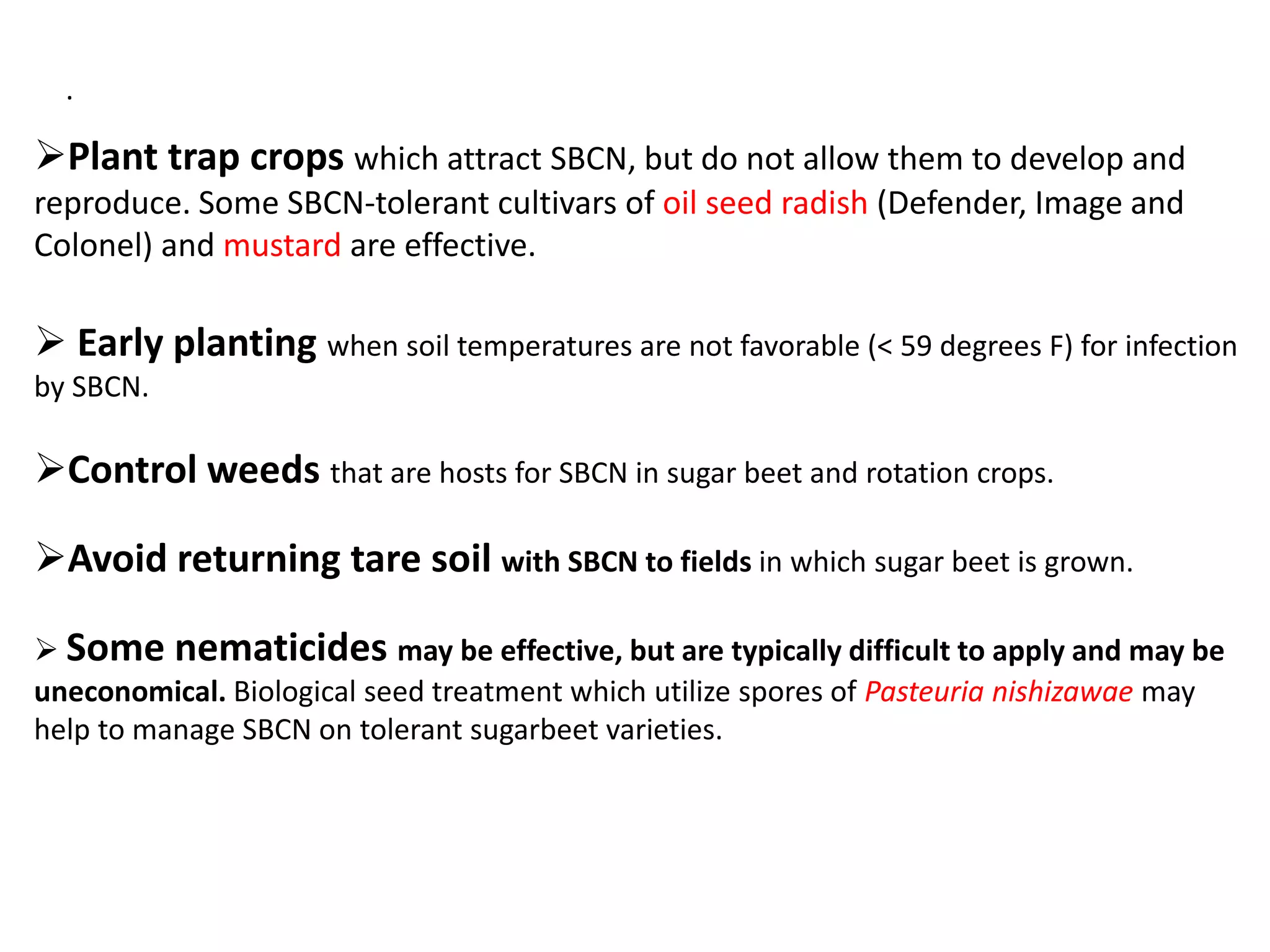 Sugarbeet Cyst Nematode Heterodera schachtii | PPTX | Agriculture ...